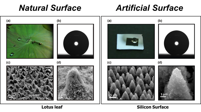 Ultrafast Laser Biomimetic Processing of Materials – Stratakis Lab